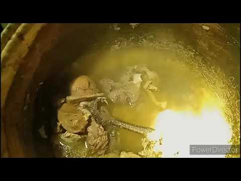 Yos hav zoov txhom tau me nyuam qaib qus - YouTube