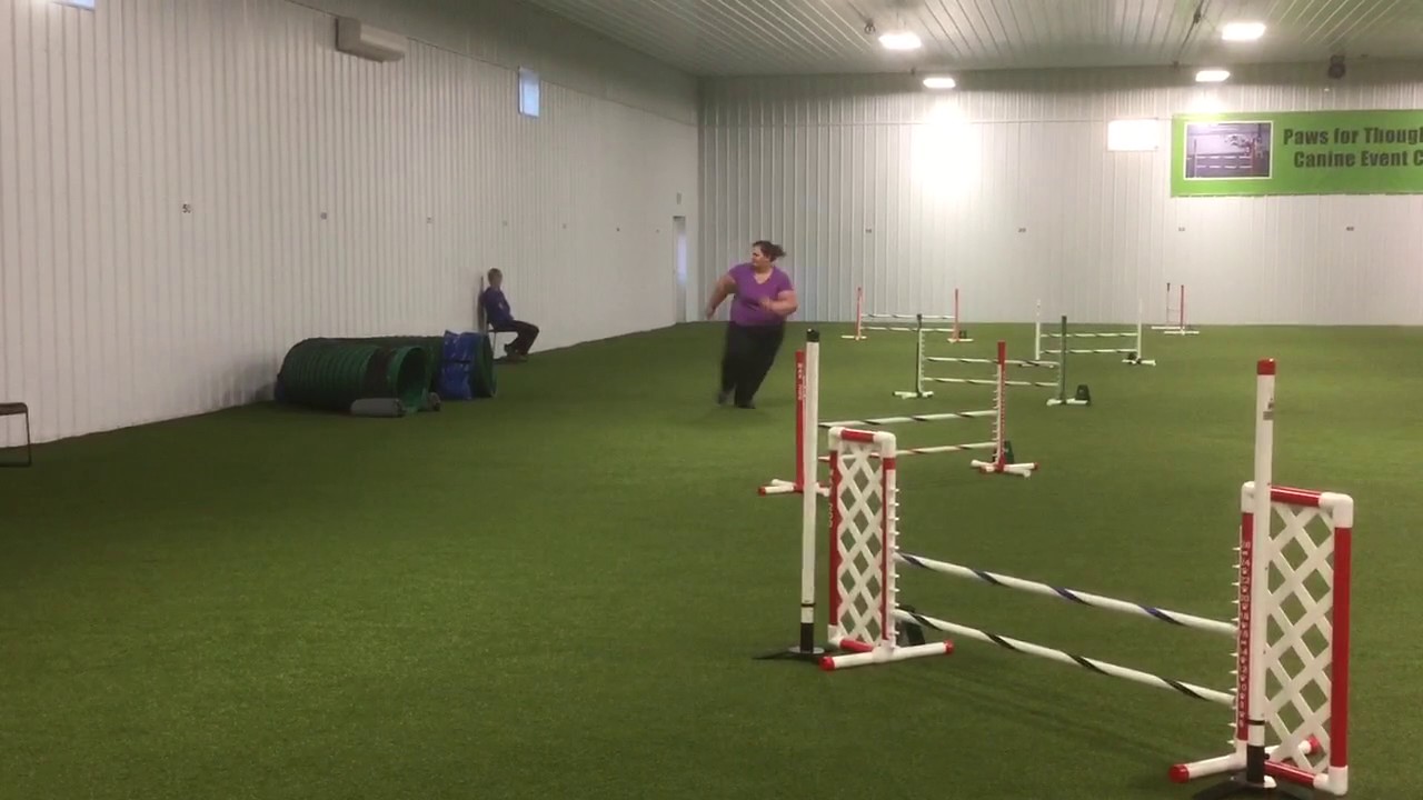 Piper jumpers 11/5/16 pawsitively Awesome - YouTube