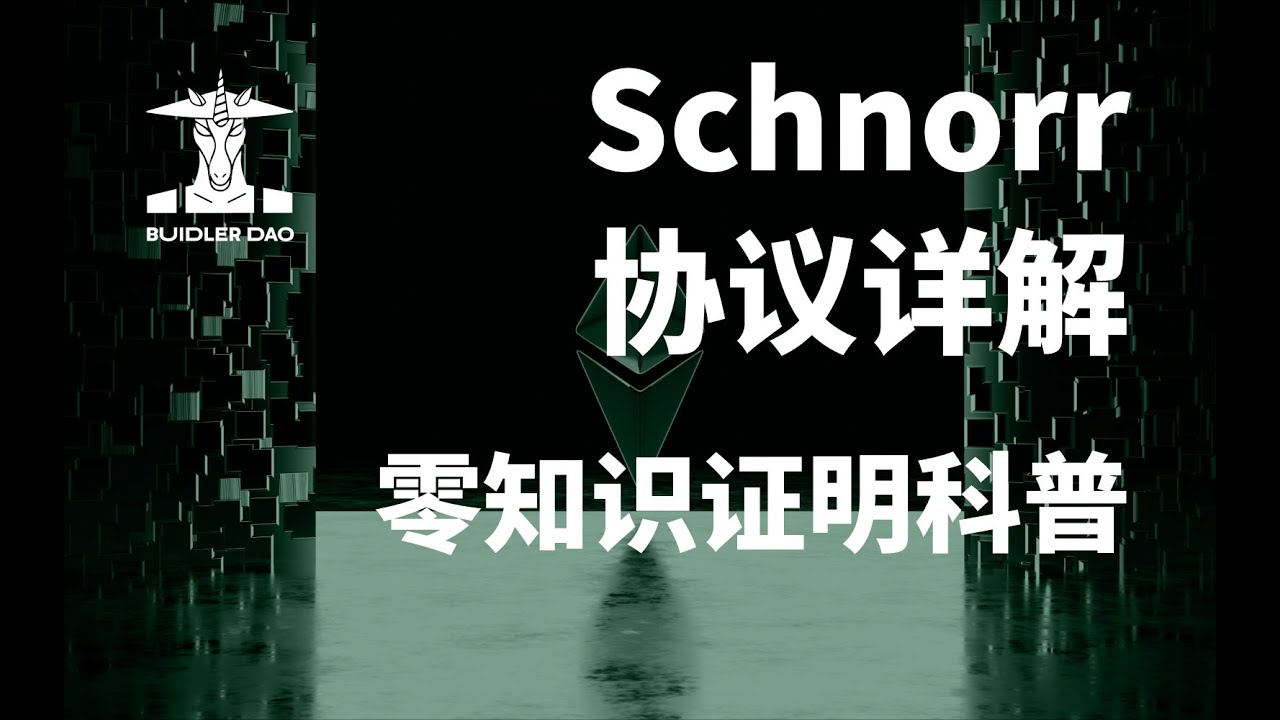 Schnorr 协议详解｜《区块链底层技术》P6-4 - YouTube