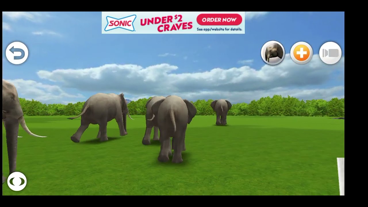 Real Animals HD: Elephants - YouTube
