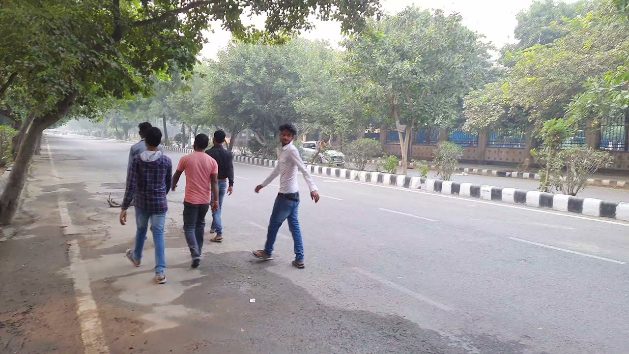 Dwarka Sector 9 Peepal Tree! Ghost Tree? - YouTube