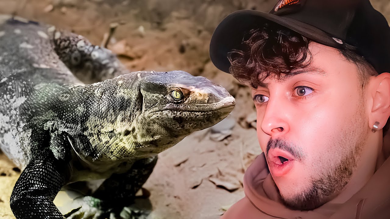 Rescaté al Varano Más Agresivo del Mundo! - YouTube