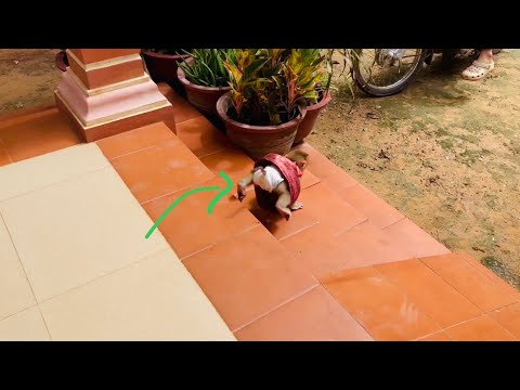 Jasmine too much Miss her mother - YouTube