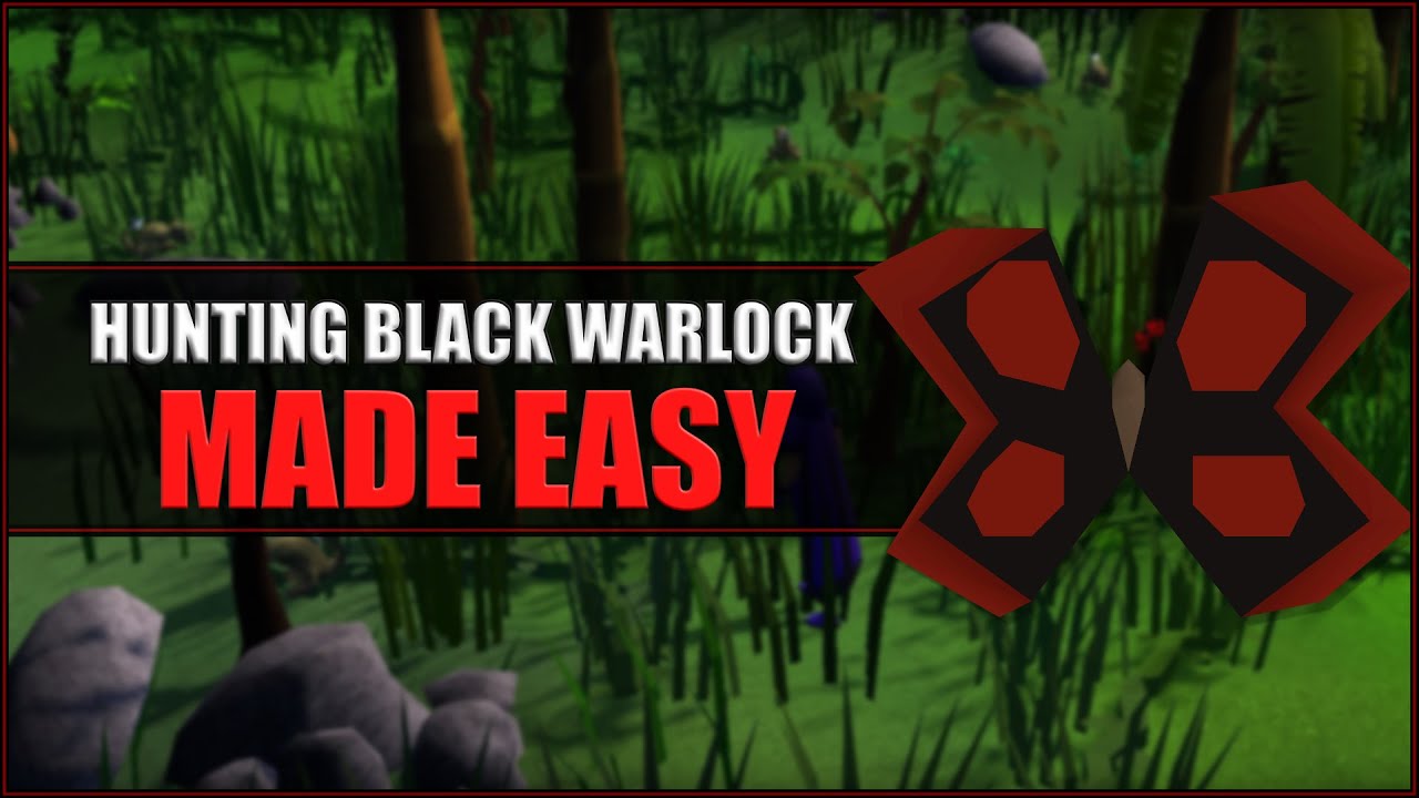 Quick Guide to Hunting Black Warlock in OSRS | Hunter Guide | Hunters ...