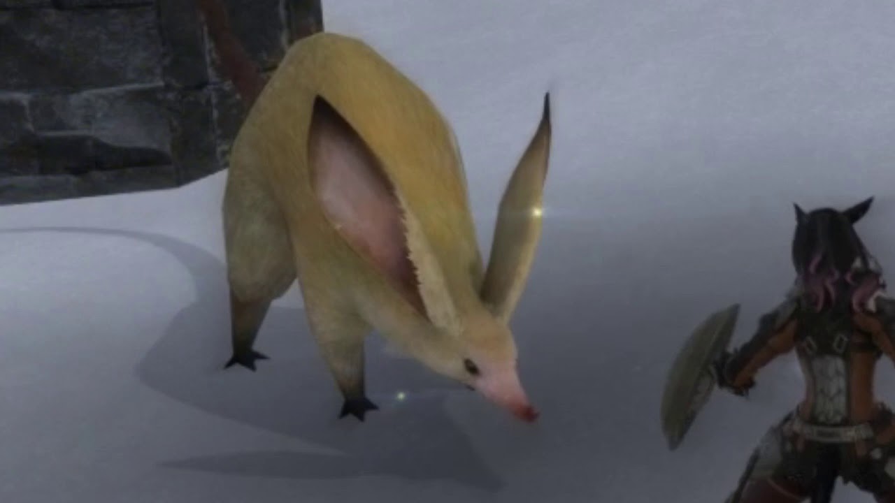 [Final Fantasy XIV] That one rats quest. - YouTube