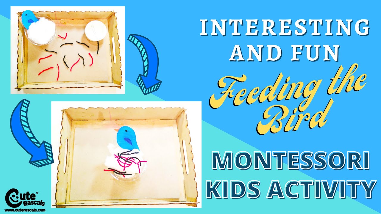 The Montessori activity you need for your kid's growth | - YouTube