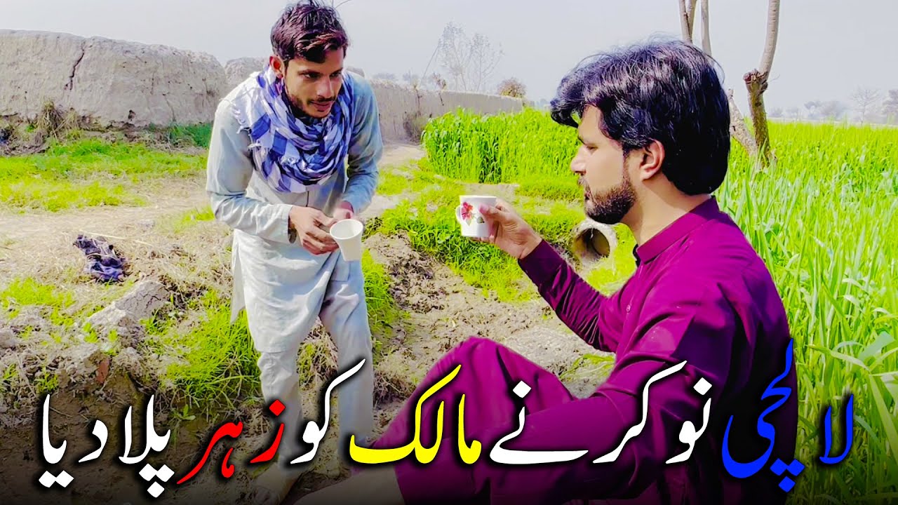 Lalchi Nukar Ny Malik Ko Zehar Pila Diya | Short Film By Rustum Abbasi Vlog | - YouTube