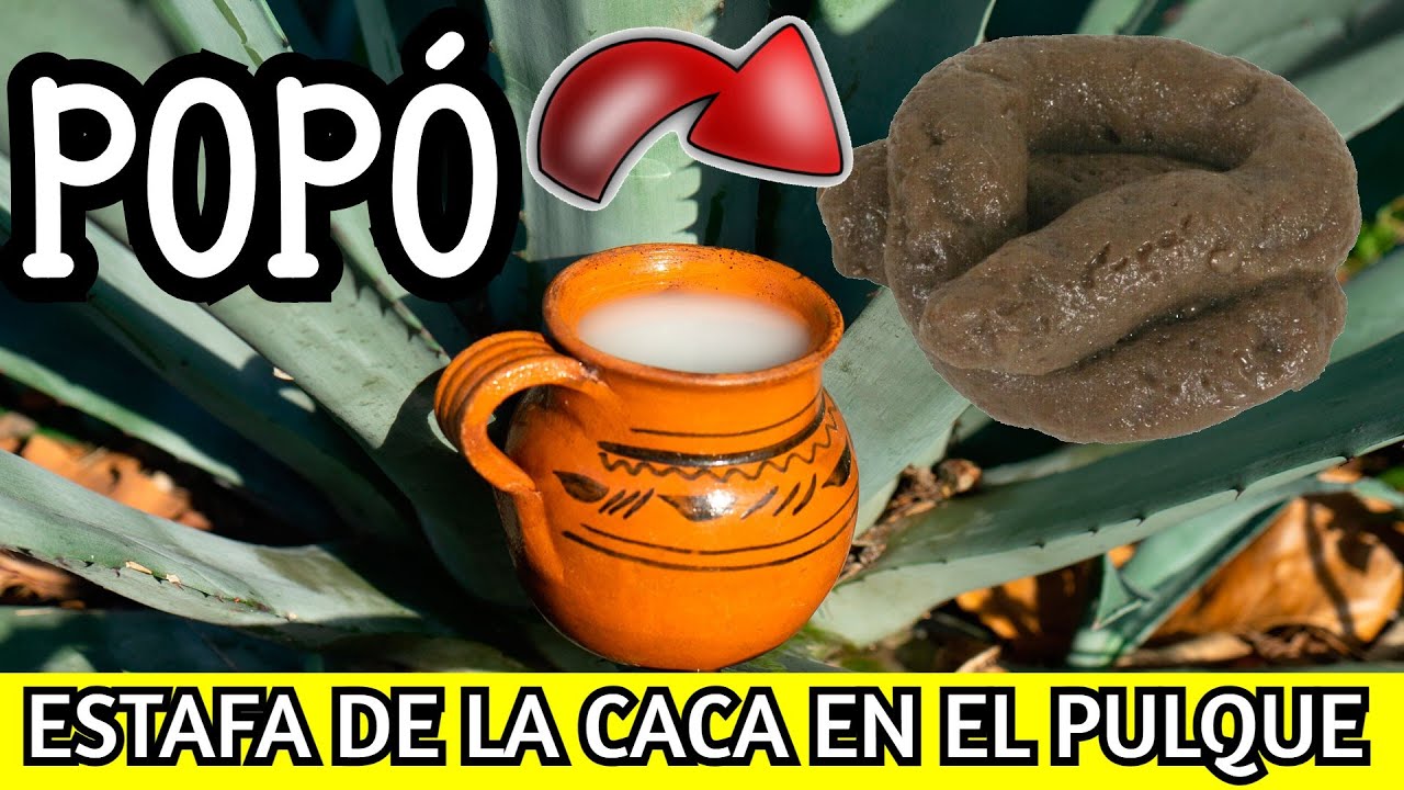 Estafa del PULQUE con CACA y POPÓ en TULA HIDALGO, Visitando las ...