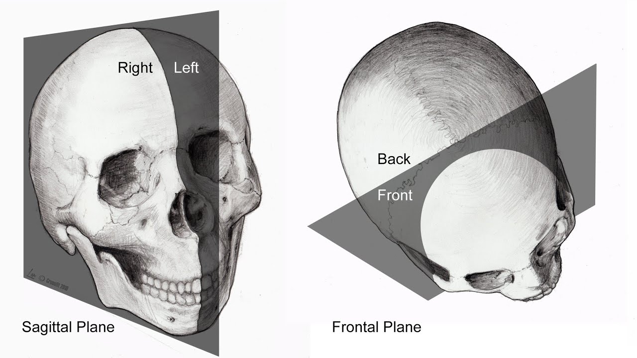 Planes and Axes explained with Osteokinematic movements - YouTube