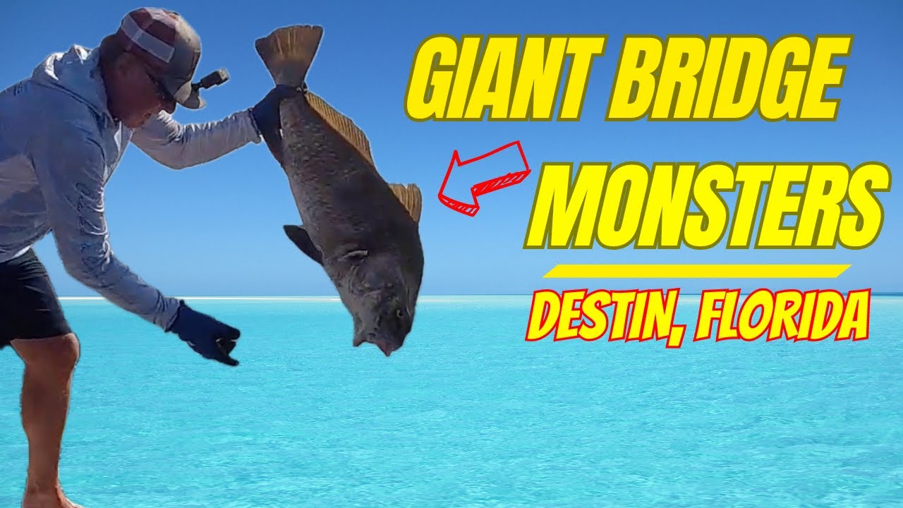 Fishing for Bridge Monsters 🎣 - YouTube