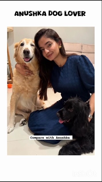 Anushka dog is so cute#anushkasen#fashion#doglover#pets#shorts#music# ...