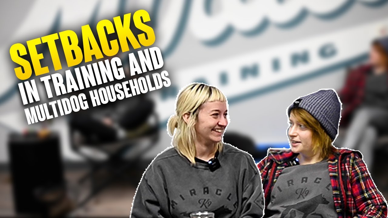 MK9 Podcast Ep. 03 // Setbacks in Training and Multidog Households ...