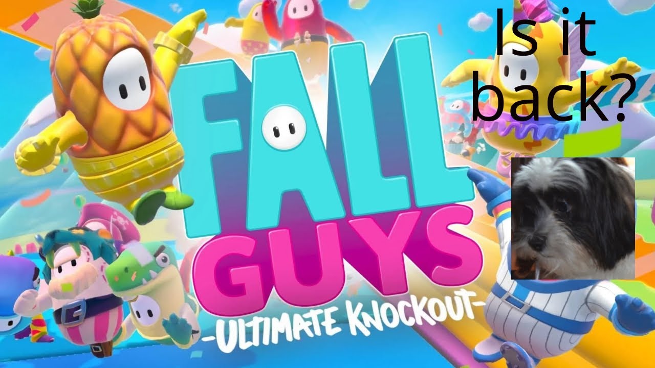 is Fall Guys back? - YouTube