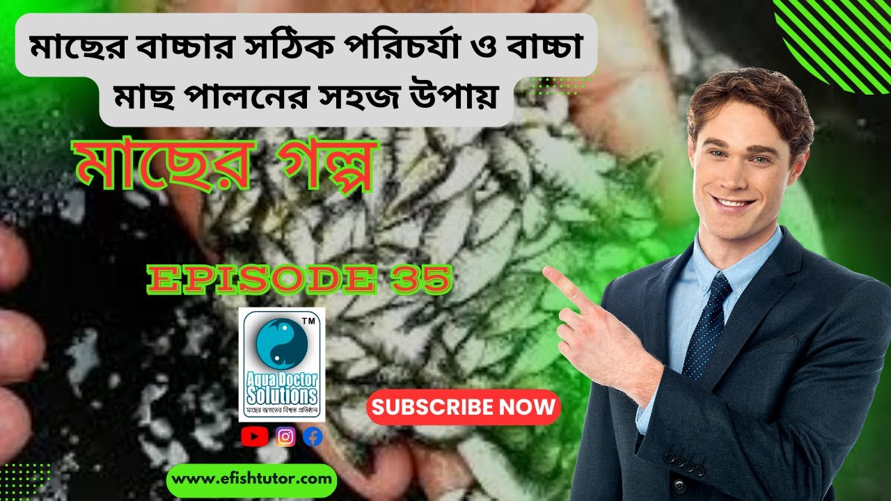 Videos – E Fish Tutor