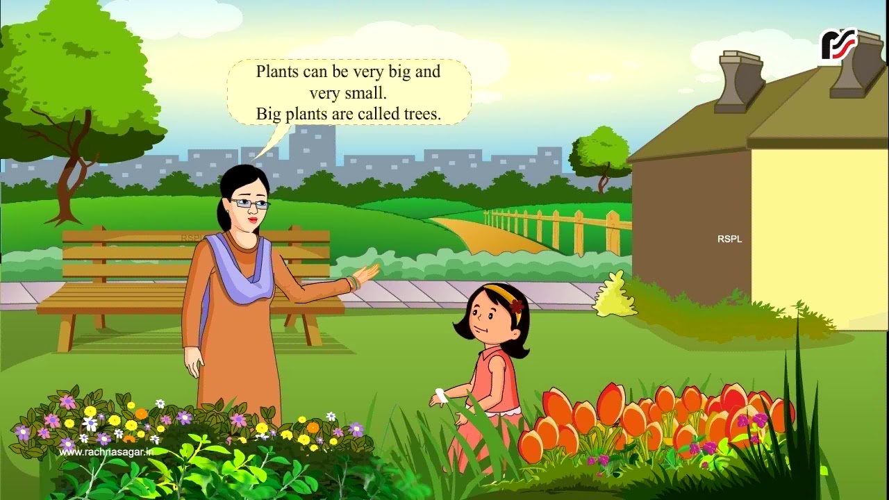Plants Environmental Studies UKG Student - YouTube