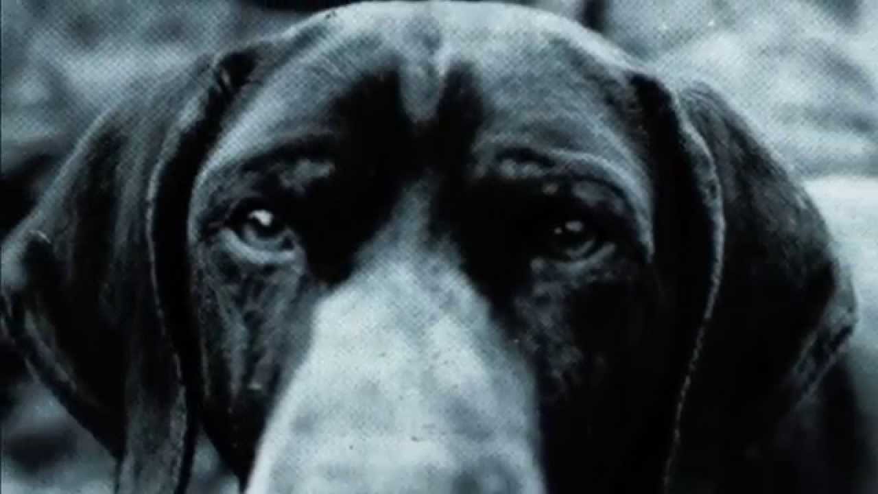 DEATH BY MILKFLOAT - Man With A Dog - YouTube