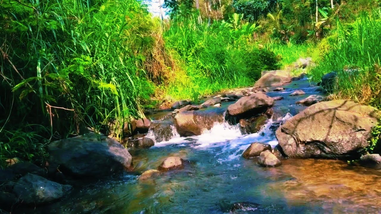 Relaxing River Sound Water Sound Ambient Music For Yoga For Meditation ...