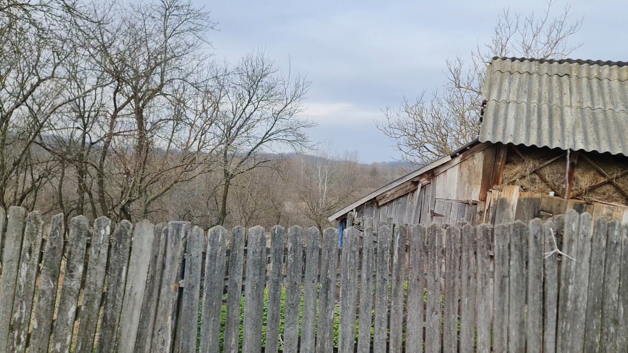 FIRIJBA / satul vechi de pe vremea Dacilor așezat între păduri ...