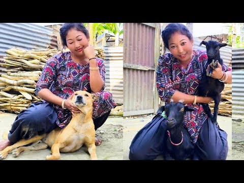 Dog Sitting vs Goat Sitting 😂 | Kaun Zyada Funny Nikla?