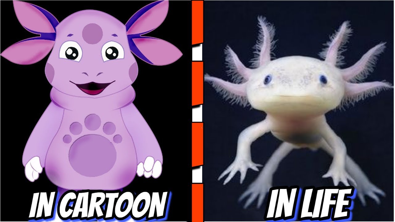 Looking Like Moonzy & His Friends - What Real-Life Characters Look Like ...