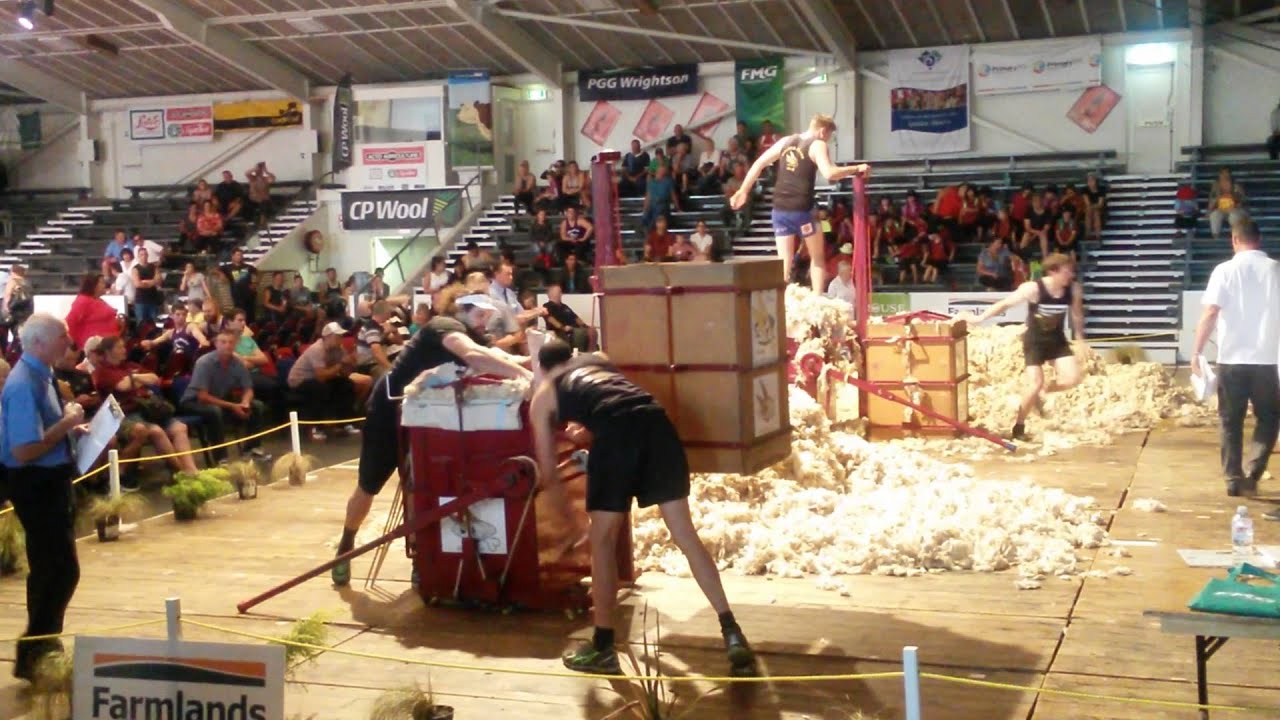 Golden Shears 2016 / Wool Pressing Final / double - YouTube