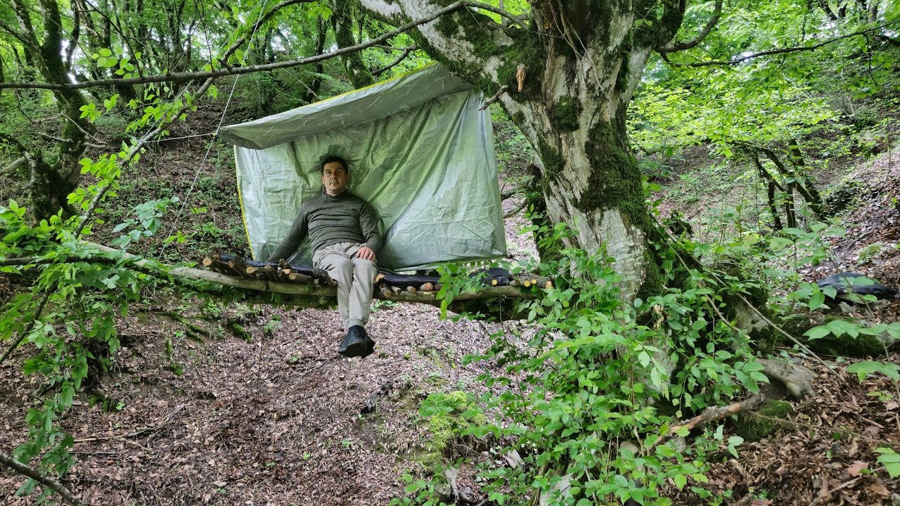 Elevated Forest Camp: A Unique Camping Experience Above the Ground ...