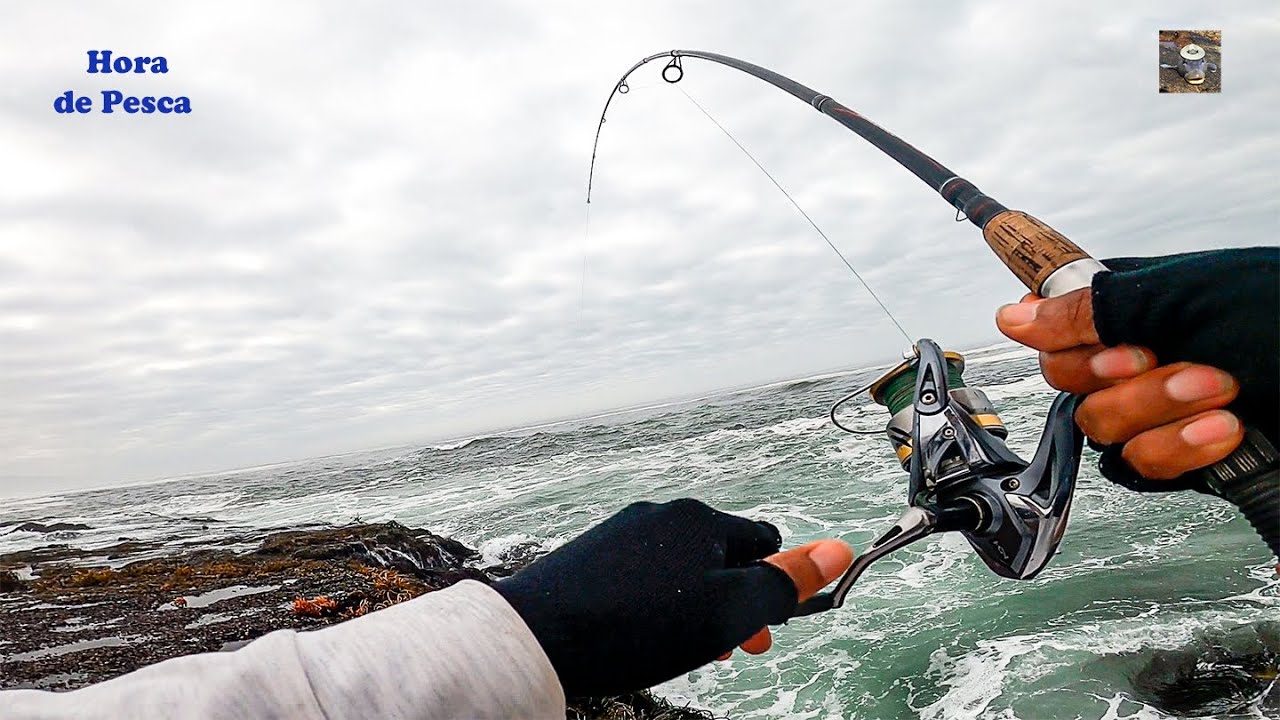 REVISA siempre el LIDER para que no te PASE ESTO. || Tips and fishing ...