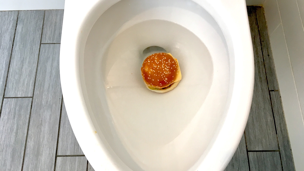 Will it Flush? - Burger King Cheeseburger - YouTube