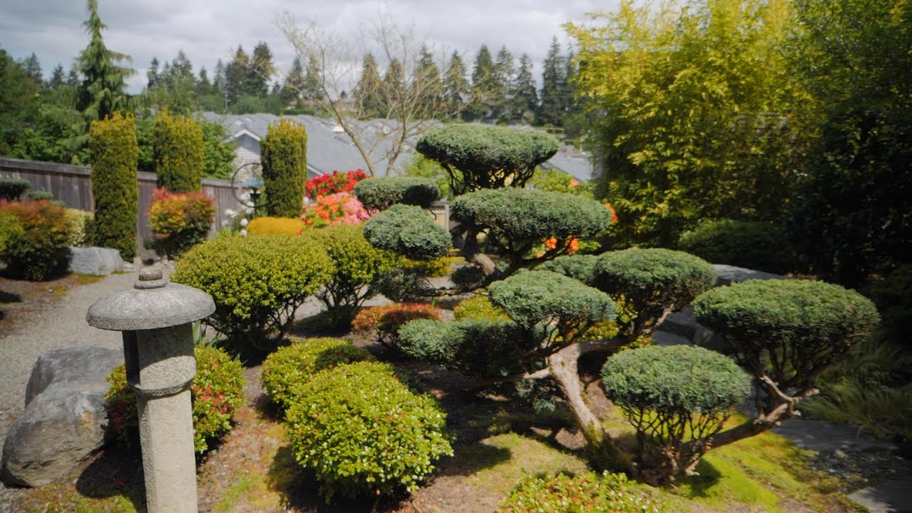 University Place Garden Tour - Japanese Garden - YouTube