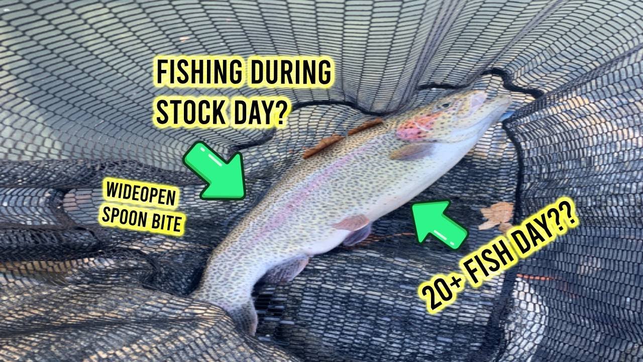 How Effective are Fishing Spoons on a Stock Day? (Surprising) Pyramid ...