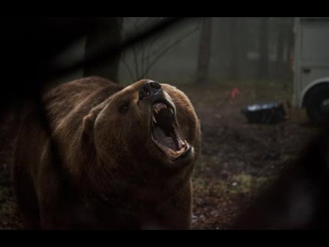 Grizzly Trailer 2014 HD Billy Bob Thornton James Marsden Piper Perabo