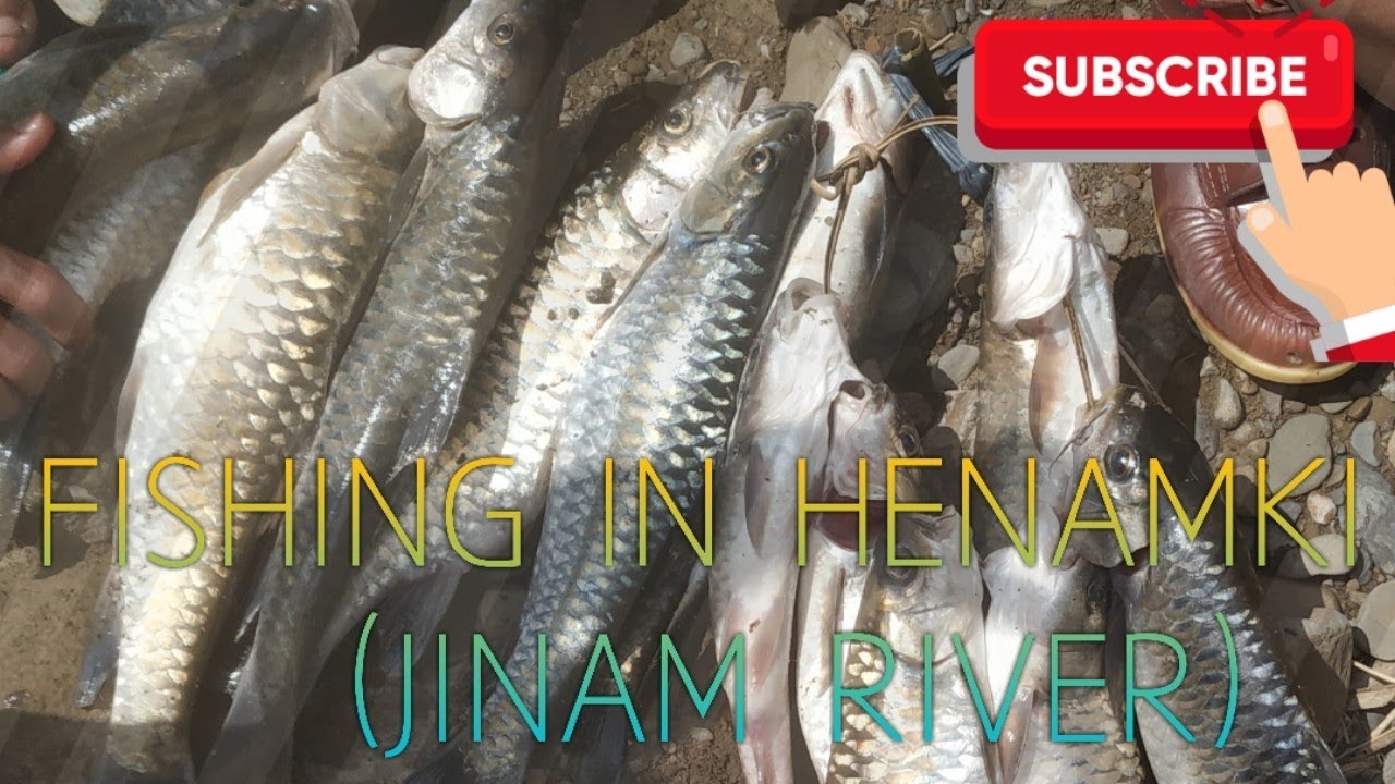 Fresh River Fishing in simple Angling method || Village Life ...