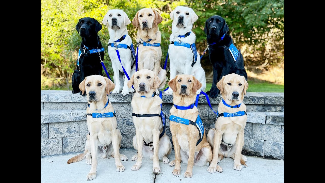 Graduation Ceremony | Northeast Region | October 14, 2022 | Canine ...
