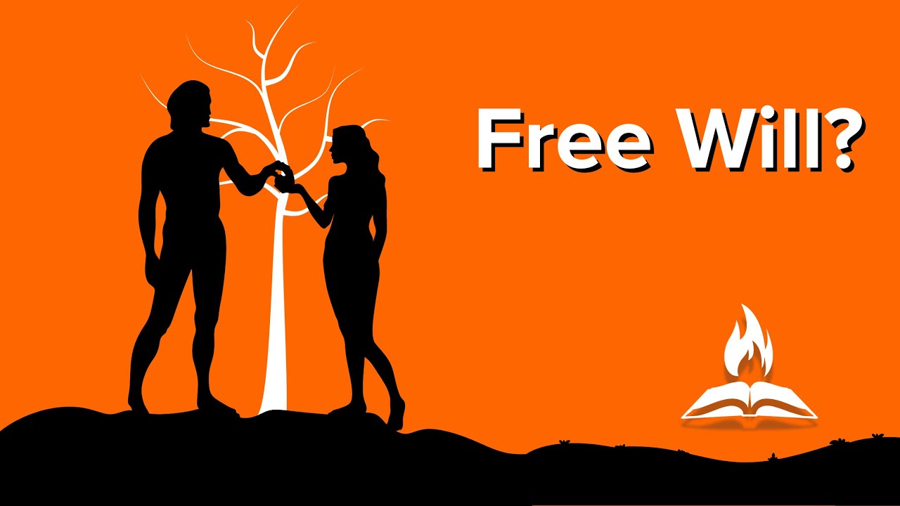 Did God Give Us Free Will Manhood Talks YouTube did-god-give-us-free-will-manhood-talks-youtube