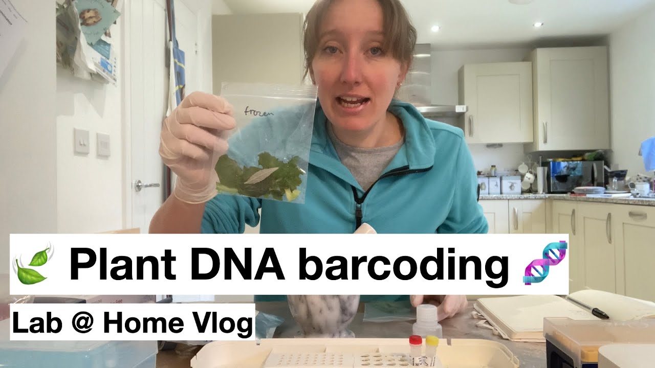 🍃 Plant DNA barcoding 🧬 (Lab @ Home) - YouTube