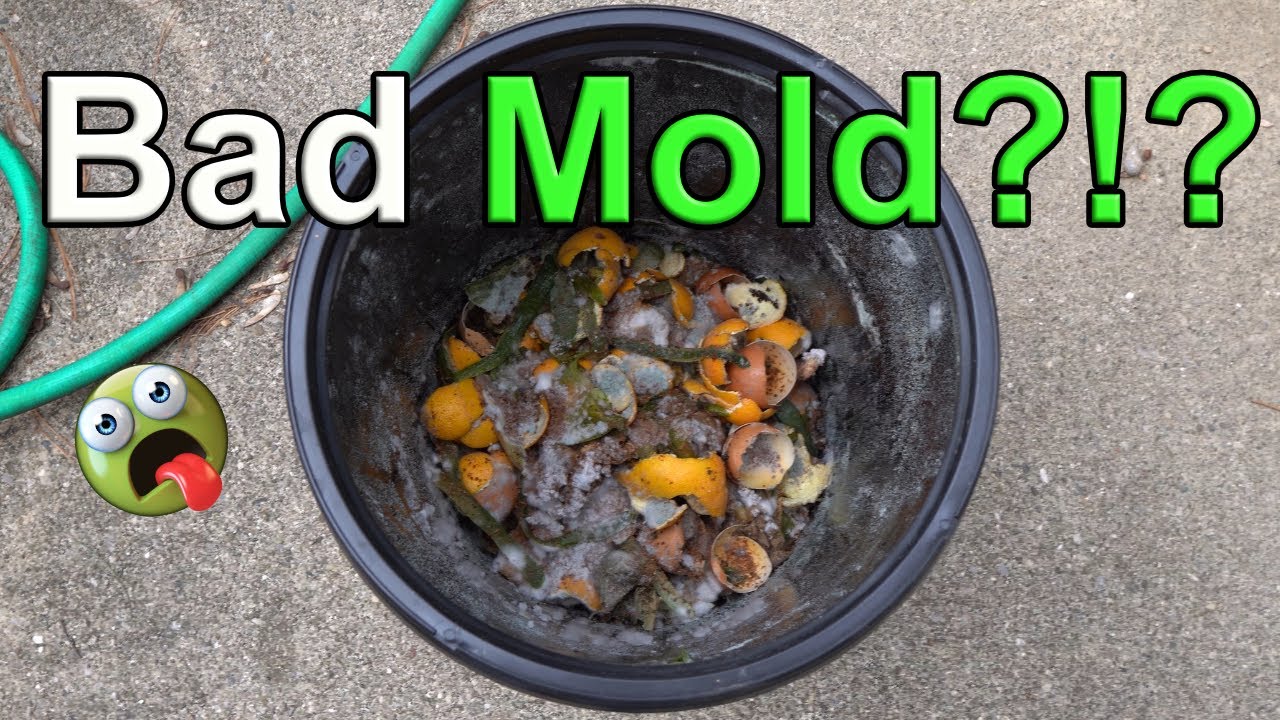 Avoid This Bokashi Composting Mistake: Avoiding Bad Mold - YouTube
