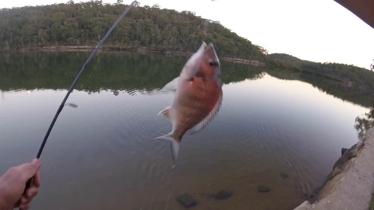 Fishing George’s river in less than 30 mins - YouTube