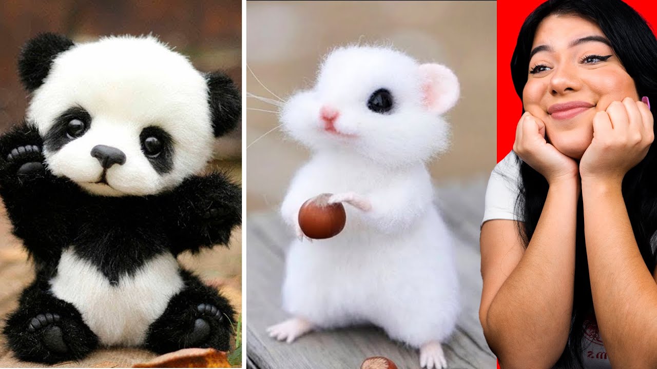 Los Animales Más Tiernos Del Mundo 2 😍 - YouTube