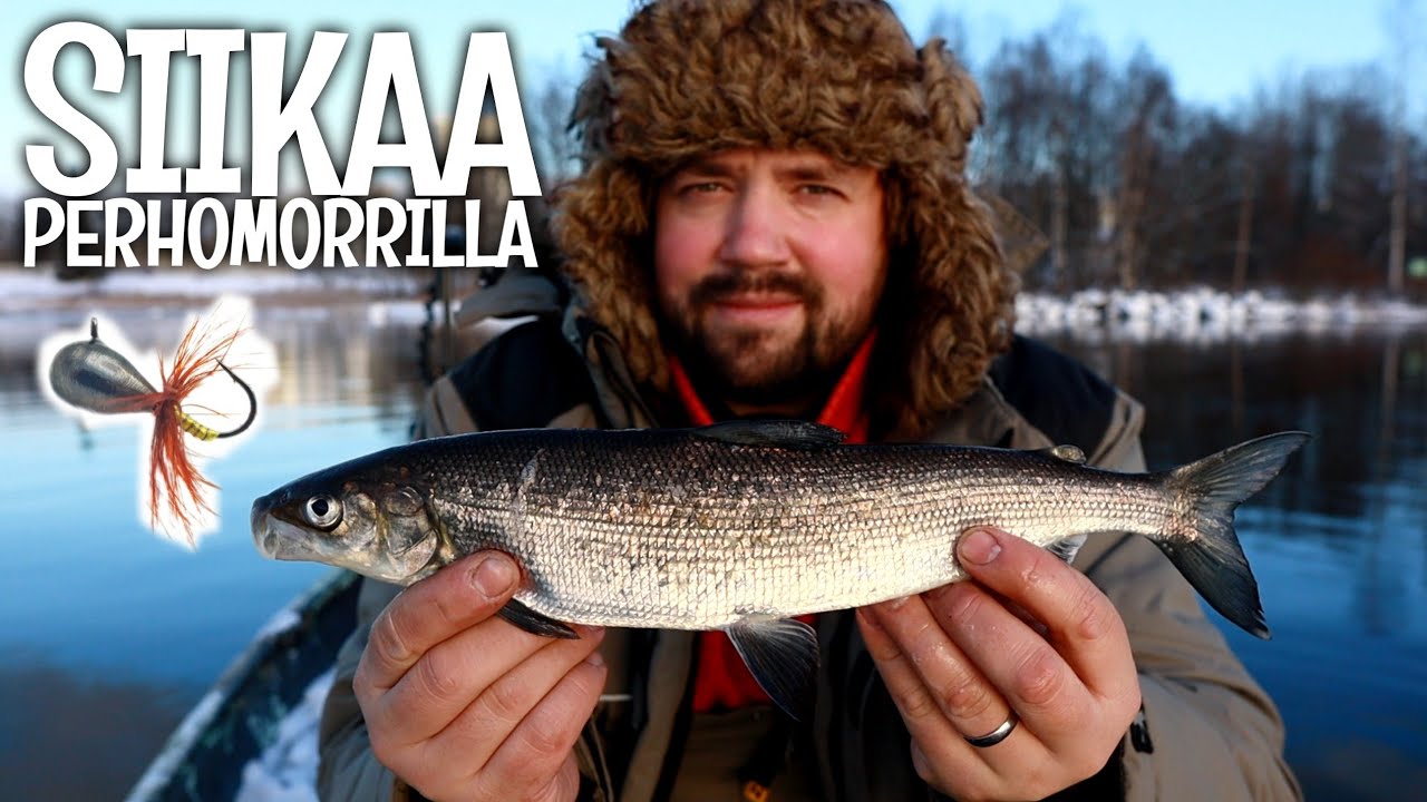 SOPULI KALASTAA SIIKAA | OULUNJOKI - YouTube