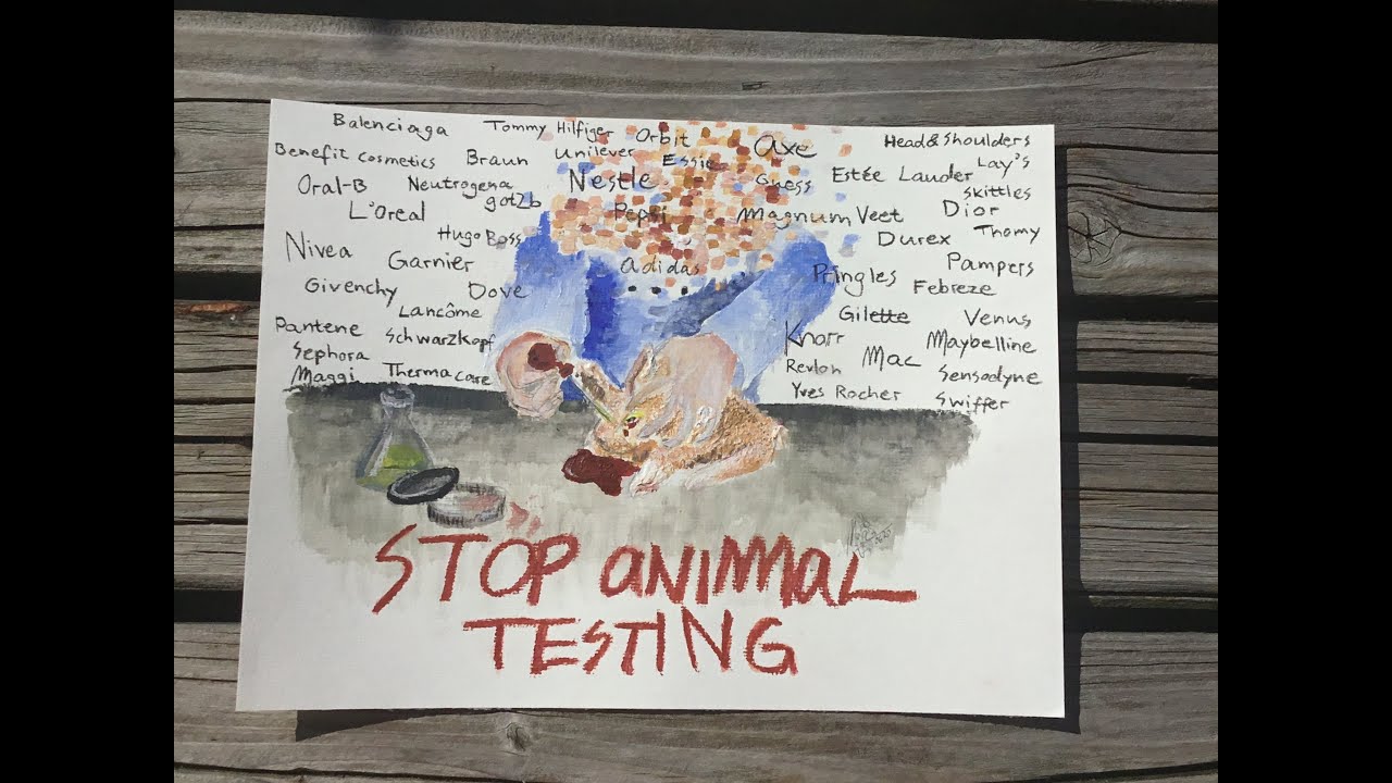 ANIMAL TESTING IS CRUEL | an acrylic artwork - YouTube