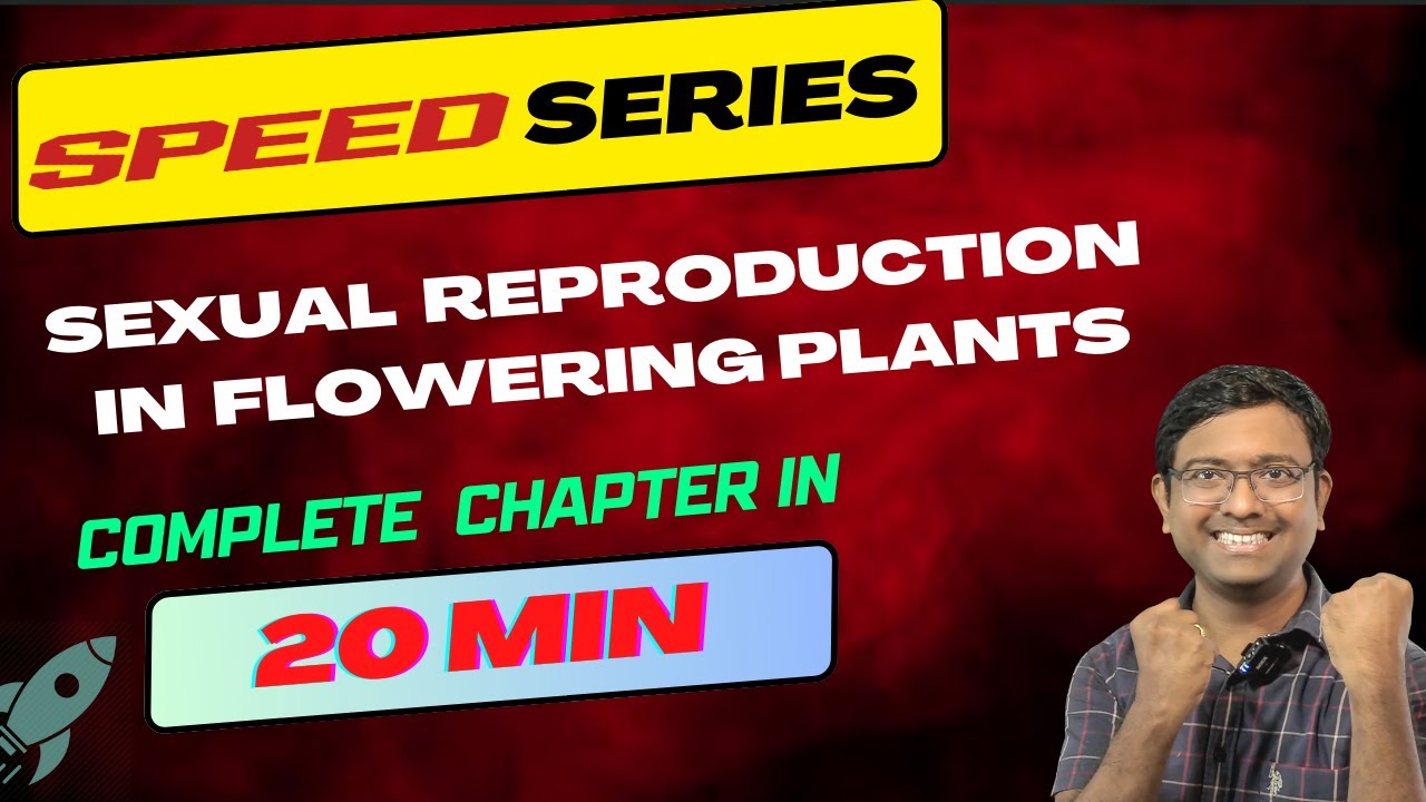 Sexual Reproduction In Flowering Plants I Speed series I NEET 2023 ...