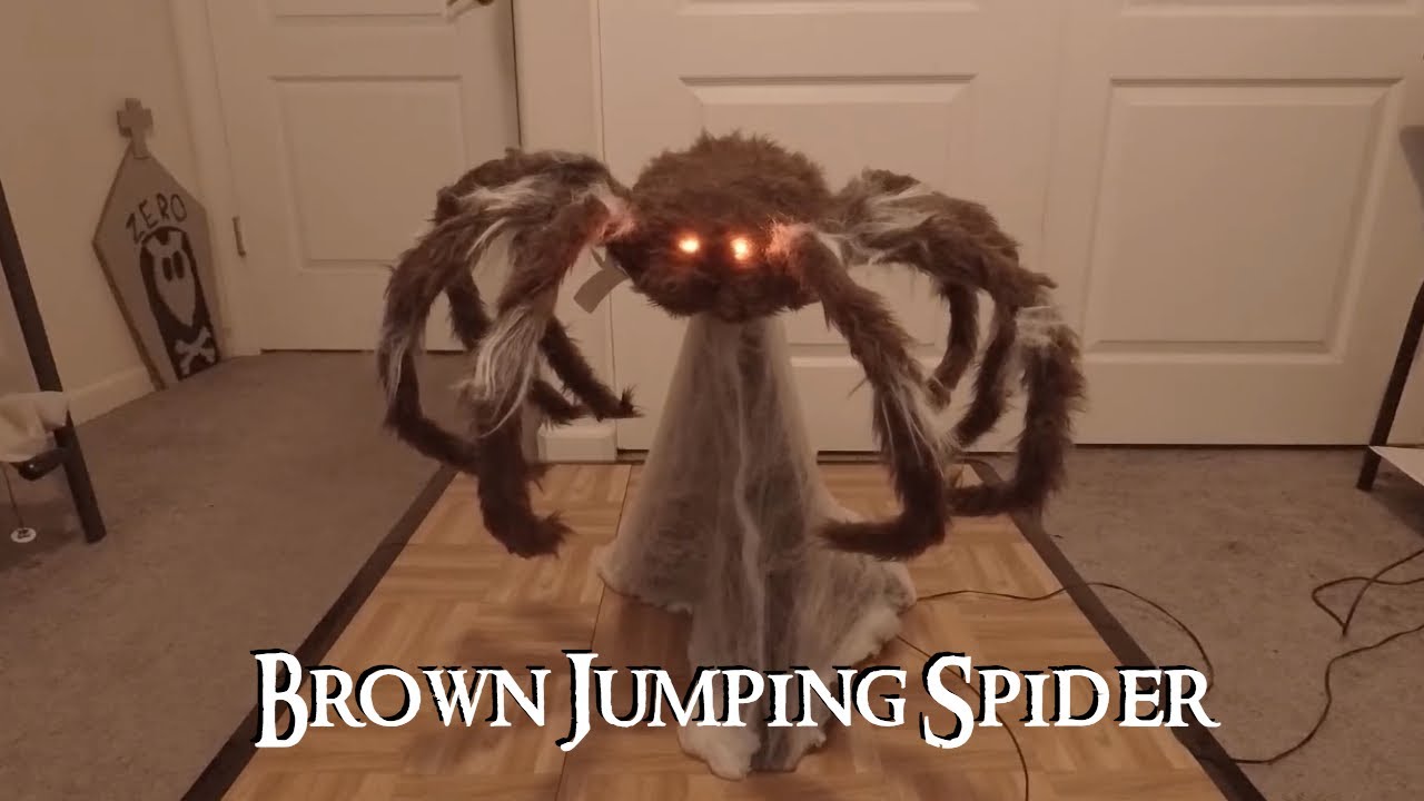 Spirit Halloween's Brown Jumping Spider Demo - YouTube
