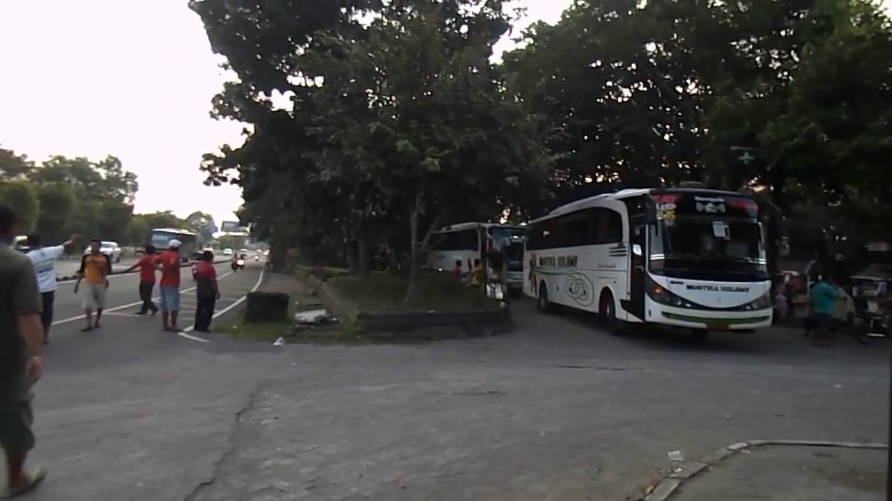 Perang Telolet Bus Marissa Holiday Ft Scorpion Holiday - YouTube