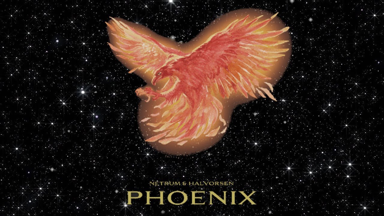 Netrum & Halvorsen - Phoenix - Lyrics - YouTube
