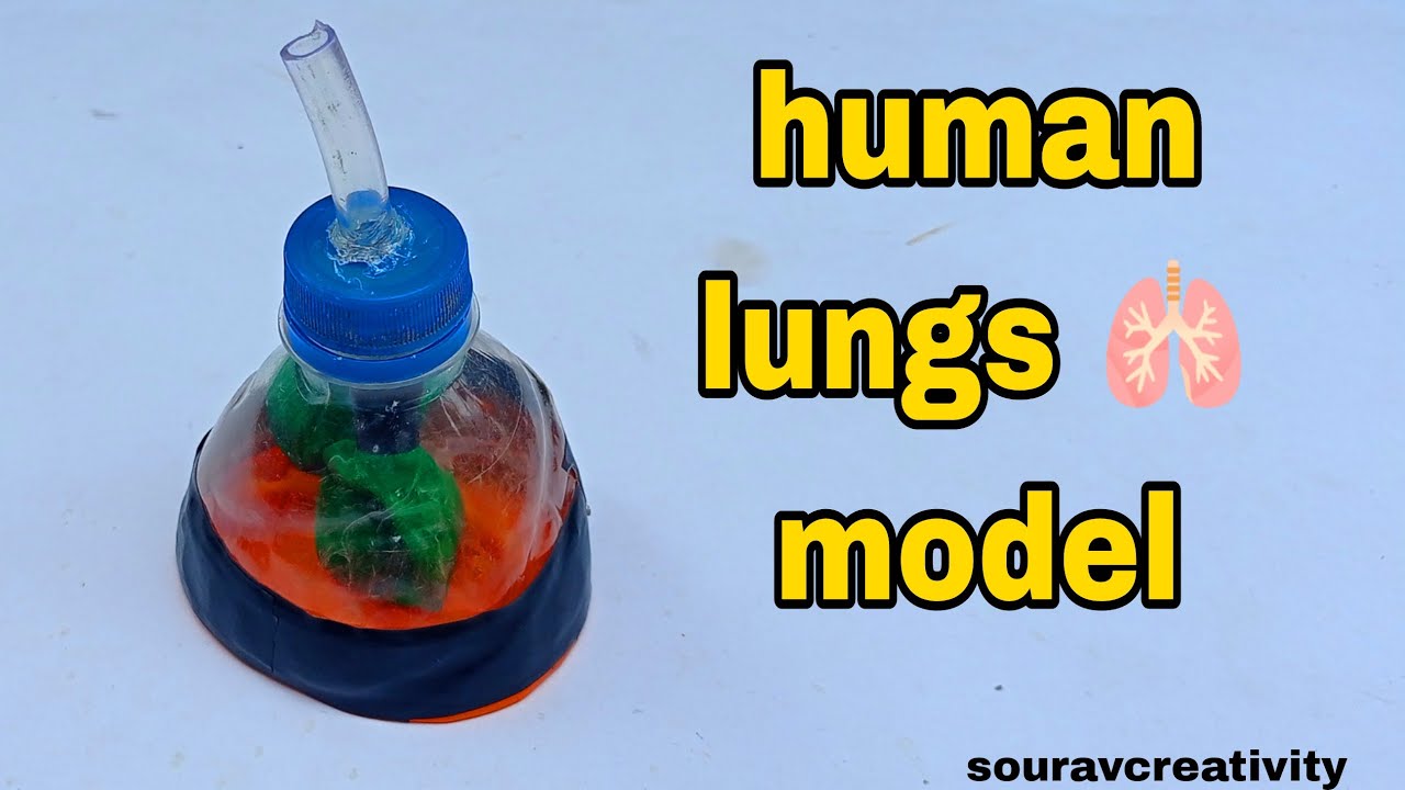 Innovative Ideas For Science Projects | Easy Science Project | 6th ...