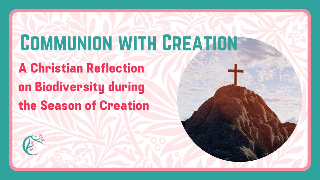 Communion with Creation: A Christian Reflection on Biodiversity during ...