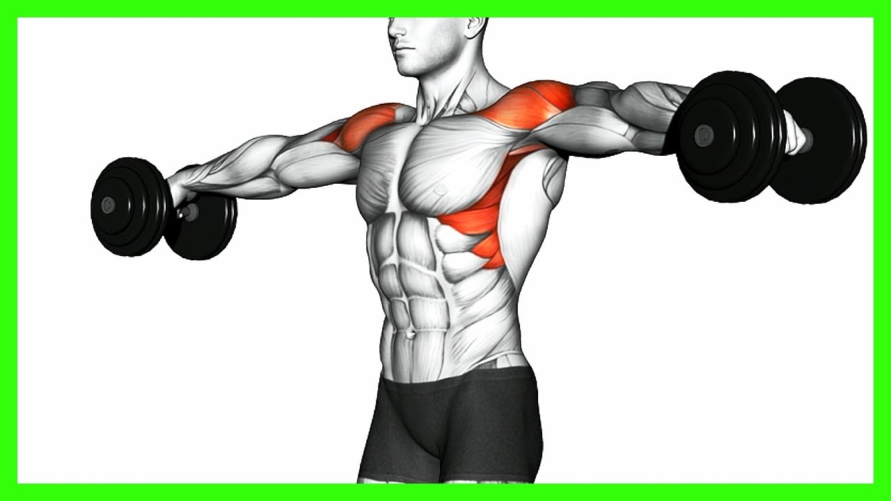 Dumbbell-Only Shoulder Workout: Build Massive Delts at Home - YouTube