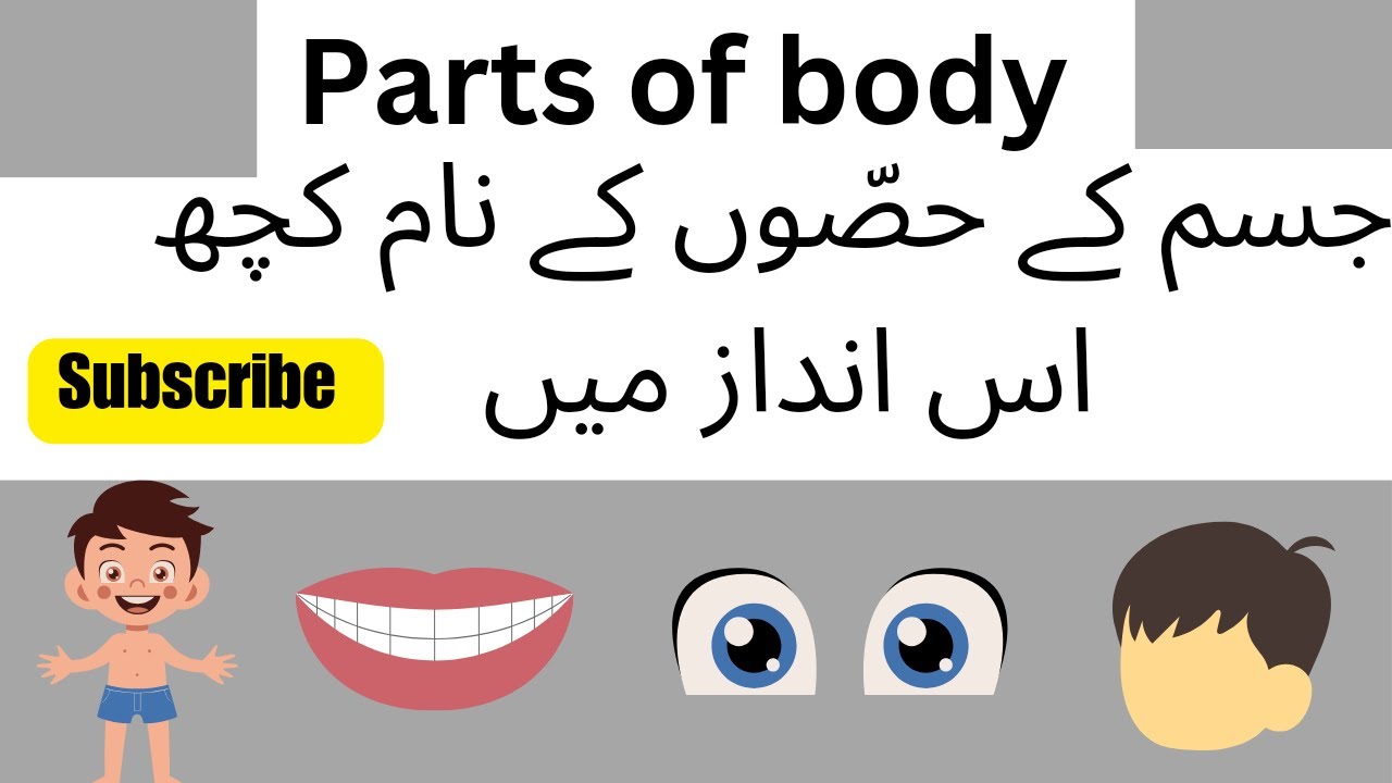 Kids learning channel, Body Parts, Body PartsFor Kids, Parts of body ...