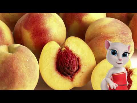 Şeftali Ağaçları Çocuk Şarkısı | Tin tin tini mini Hanım Çocuk Şarkısı | Tomdan Çocuk Şarkıları