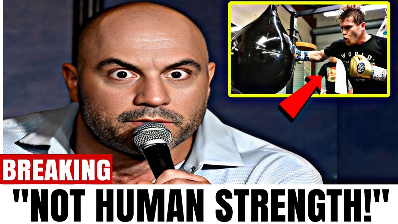 “Canelo Alvarez Shocks Joe Rogan With INSANE 300kg Punching Bag Power ...